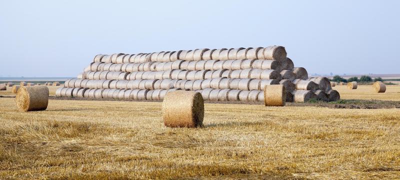 Agriculture Roll Up Stock Photos, Images and Backgrounds for Free Download Agriculture Roll Up Stock Photos, Images and Backgrounds for Free Download