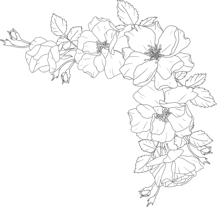 Black And White Floral PNGs for Free Download