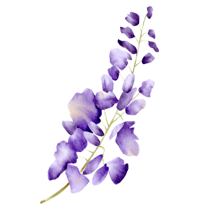 Purple Watercolor Flowers PNGs for Free Download