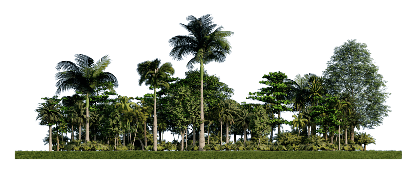 Tree PNGs for Free Download