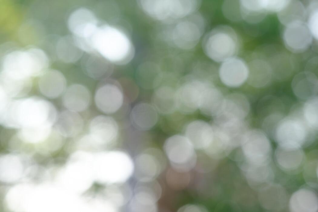 Boke Background Stock Photos, Images and Backgrounds for Free Download