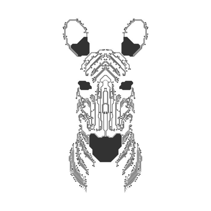Zebra Face Vector Art, Icons, and Graphics for Free Download