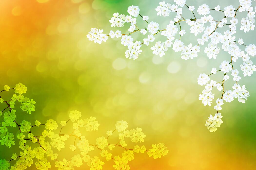 Spring Color Background Stock Photos, Images and Backgrounds for Free ...