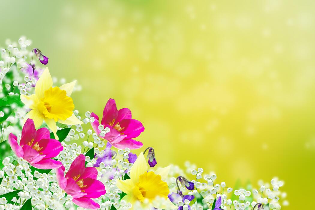 Colorful Spring Background Stock Photos, Images and Backgrounds for ...
