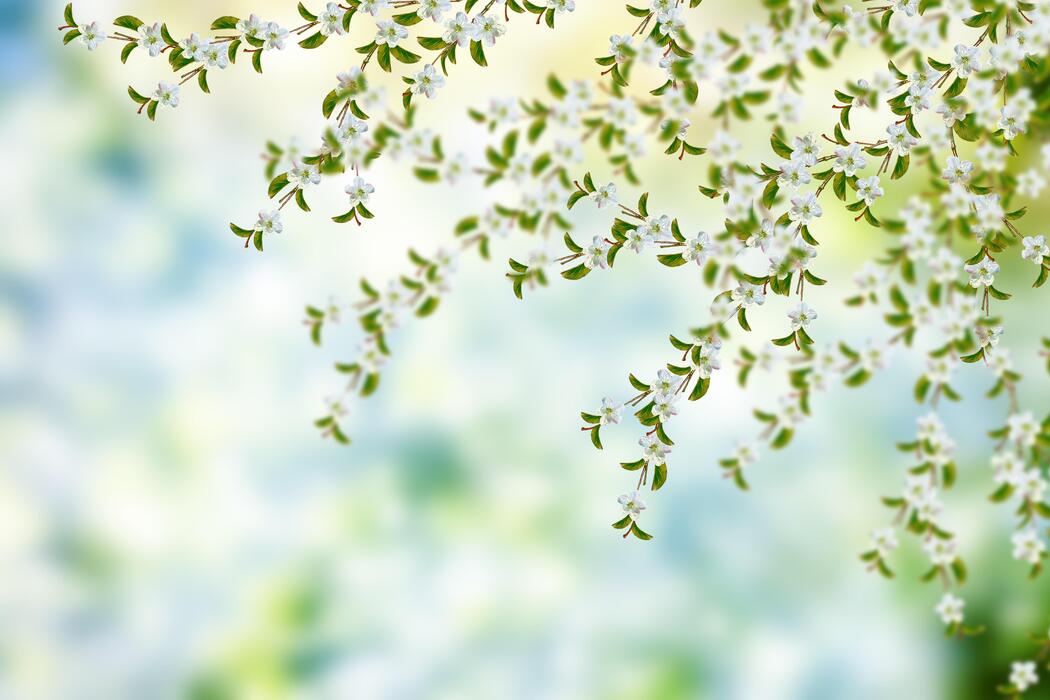 Realistic Spring Background Stock Photos, Images and Backgrounds for ...