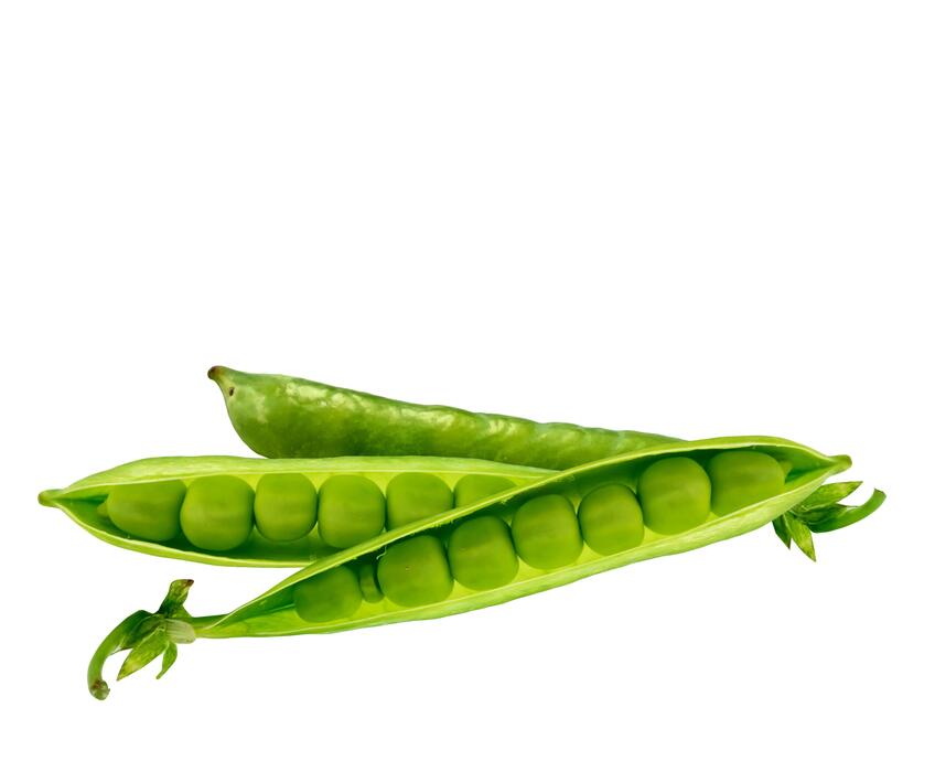 Pea Pod Stock Photos, Images and Backgrounds for Free Download