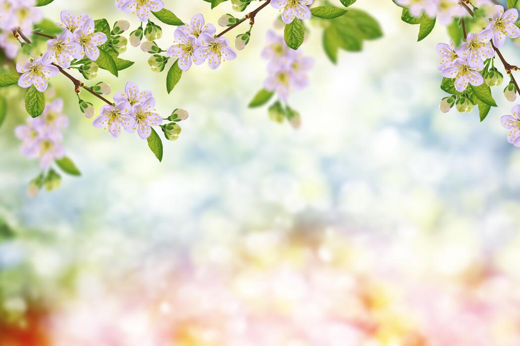 Realistic Spring Background Stock Photos, Images and Backgrounds for ...