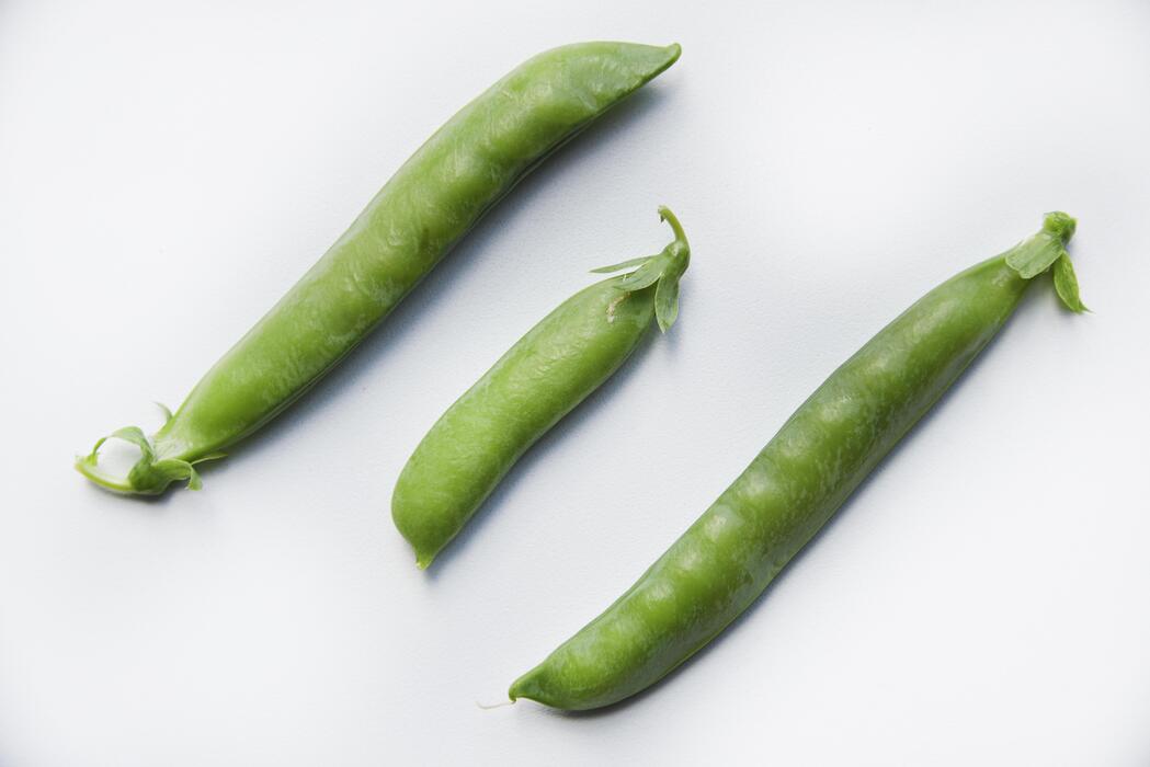 Pea Pod Stock Photos, Images and Backgrounds for Free Download