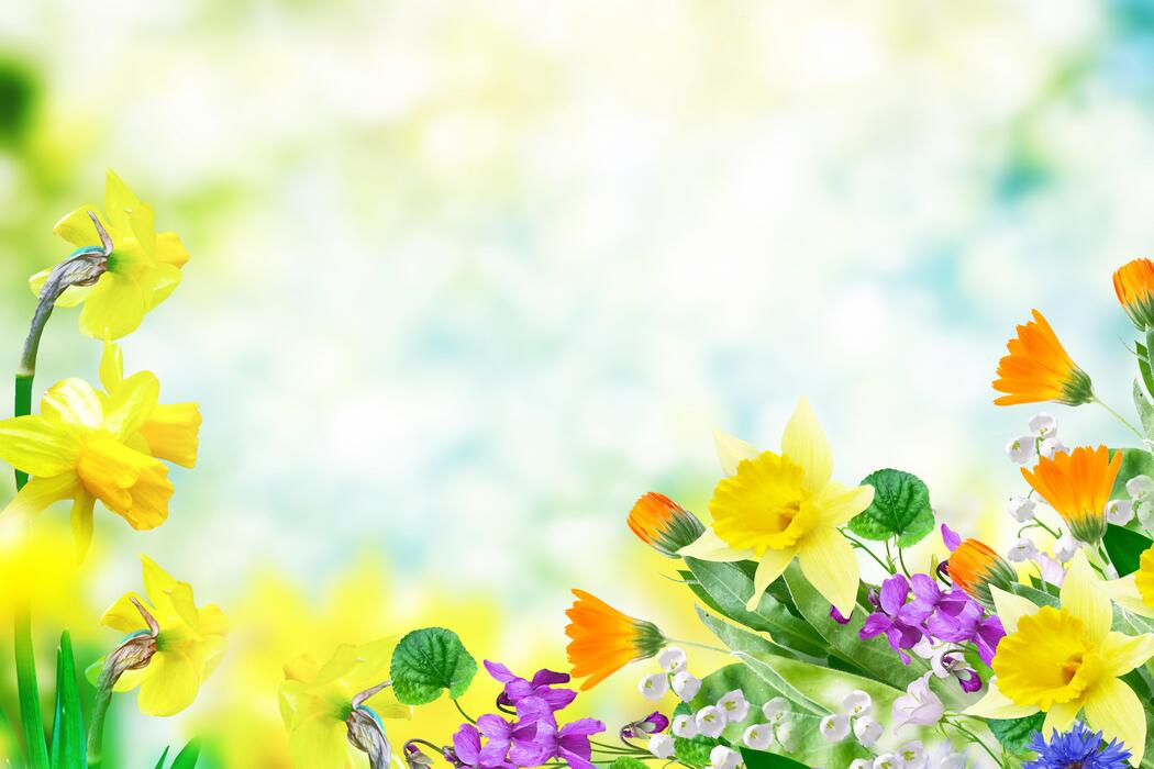 Colorful Spring Background Stock Photos, Images and Backgrounds for ...