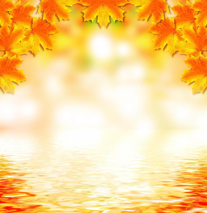 Fall Autumn Background Stock Photos, Images and Backgrounds for Free ...