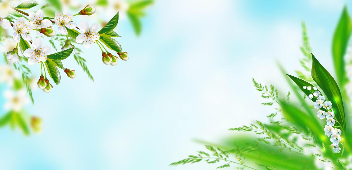 Green Spring Background Stock Photos, Images and Backgrounds for Free ...