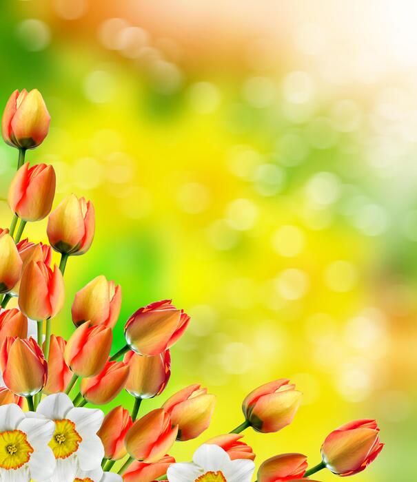 Spring Stock Photos, Images and Backgrounds for Free Download