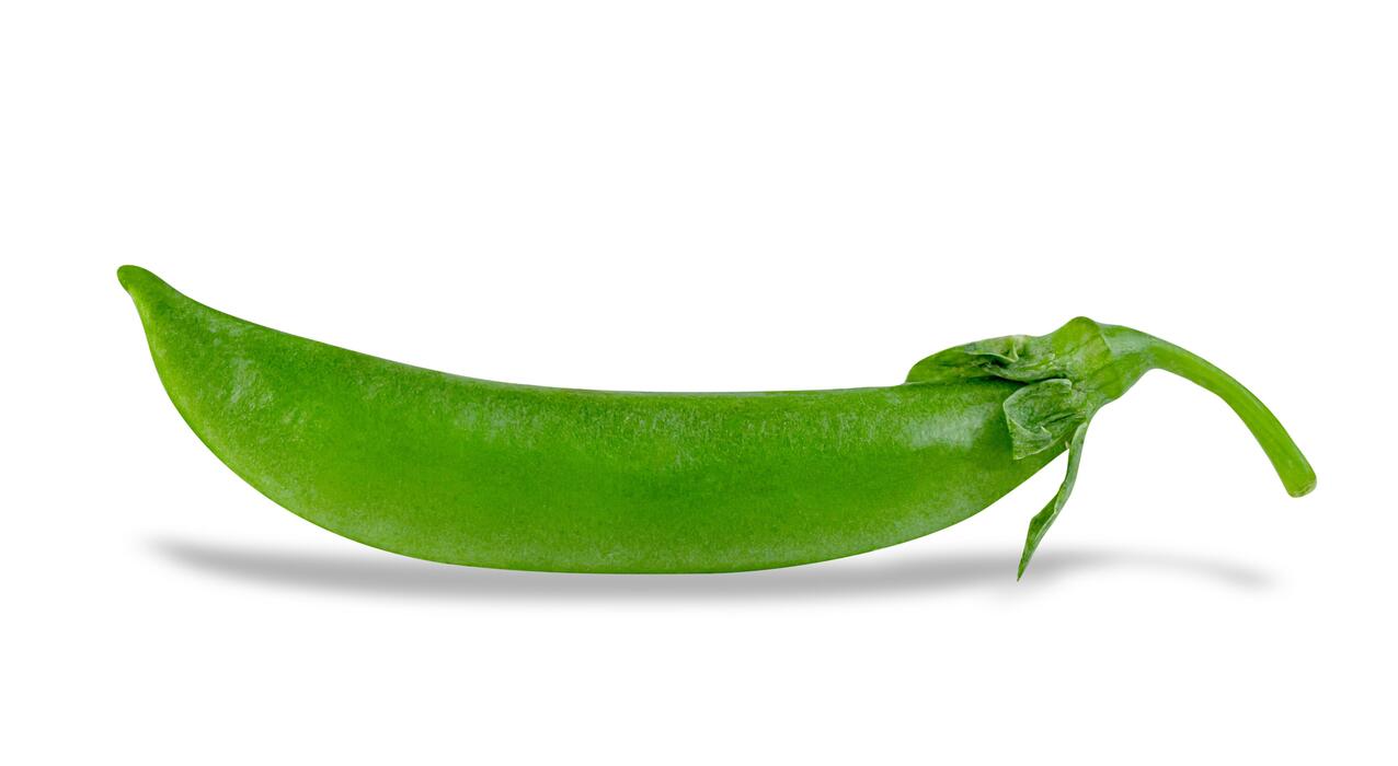 Pea Pod Stock Photos, Images and Backgrounds for Free Download