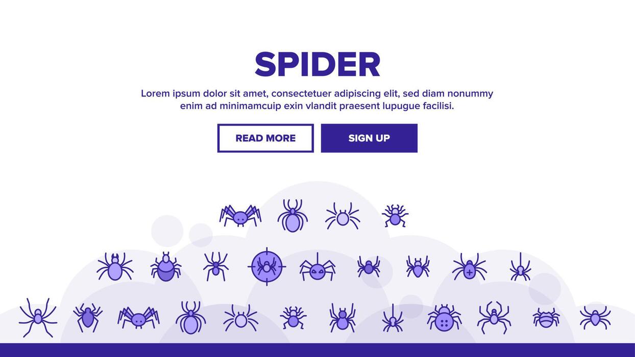 Spider Man Web Vector Art, Icons, and Graphics for Free Download