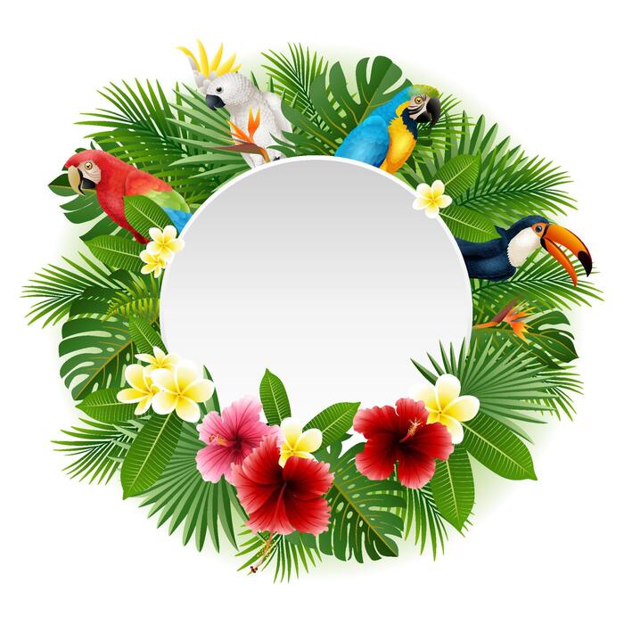 Blank Background Vector Art, Icons, and Graphics for Free Download