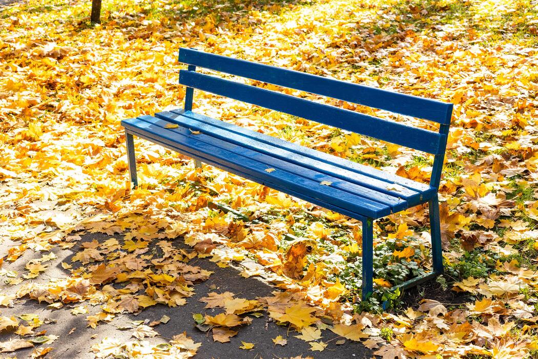Bench Stock Photos, Images and Backgrounds for Free Download