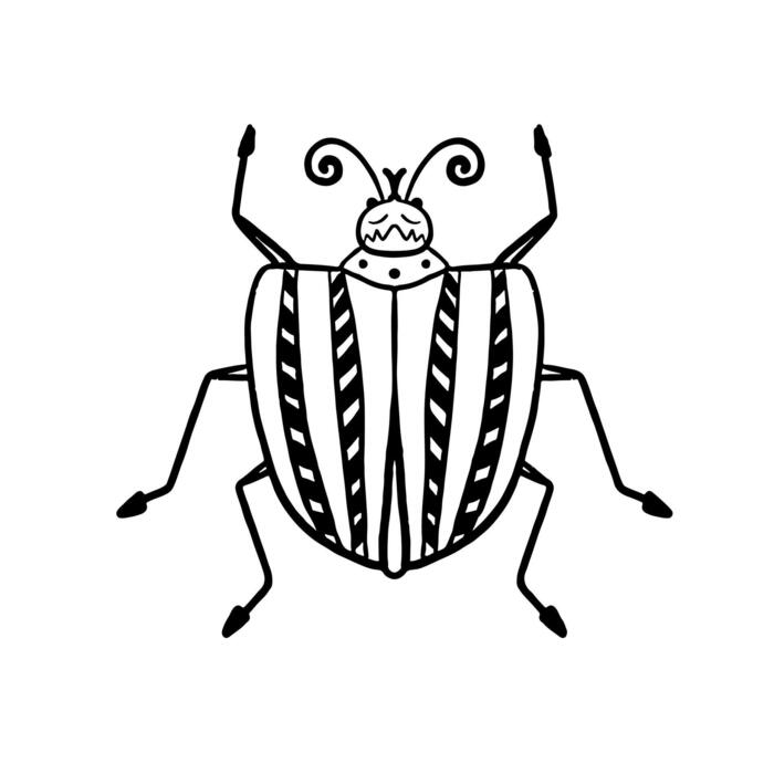 Bug Doodle Vector Art, Icons, and Graphics for Free Download