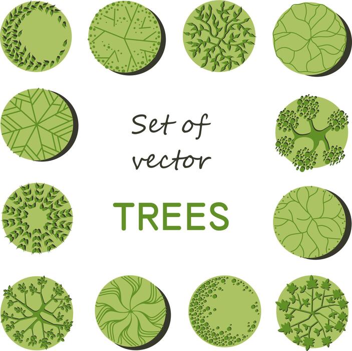 Tree Plan View Vector Art, Icons, and Graphics for Free Download