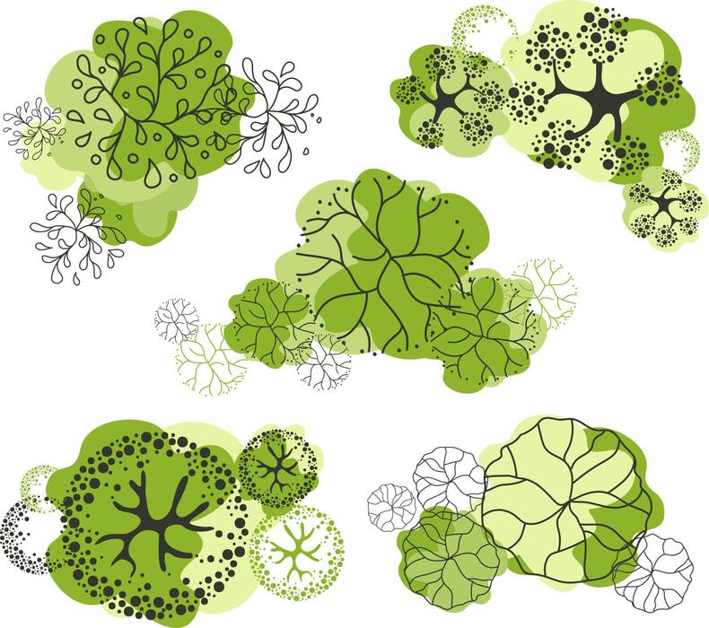 Landscape Plan Vector Art, Icons, and Graphics for Free Download