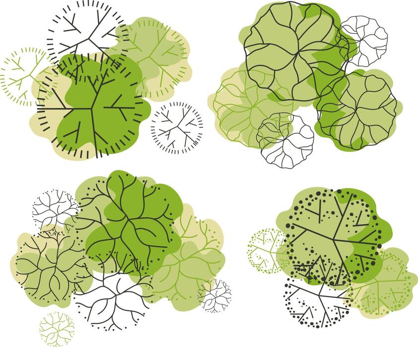 Tree Plan Vector Art, Icons, and Graphics for Free Download