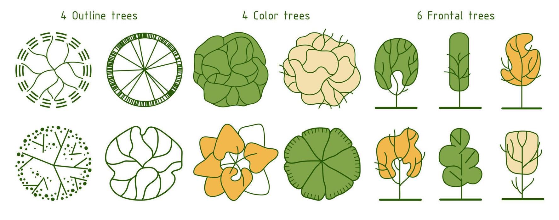 Tree Plan Vector Art, Icons, and Graphics for Free Download