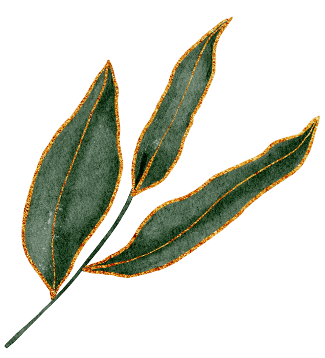 Eucalyptus Gold PNGs for Free Download
