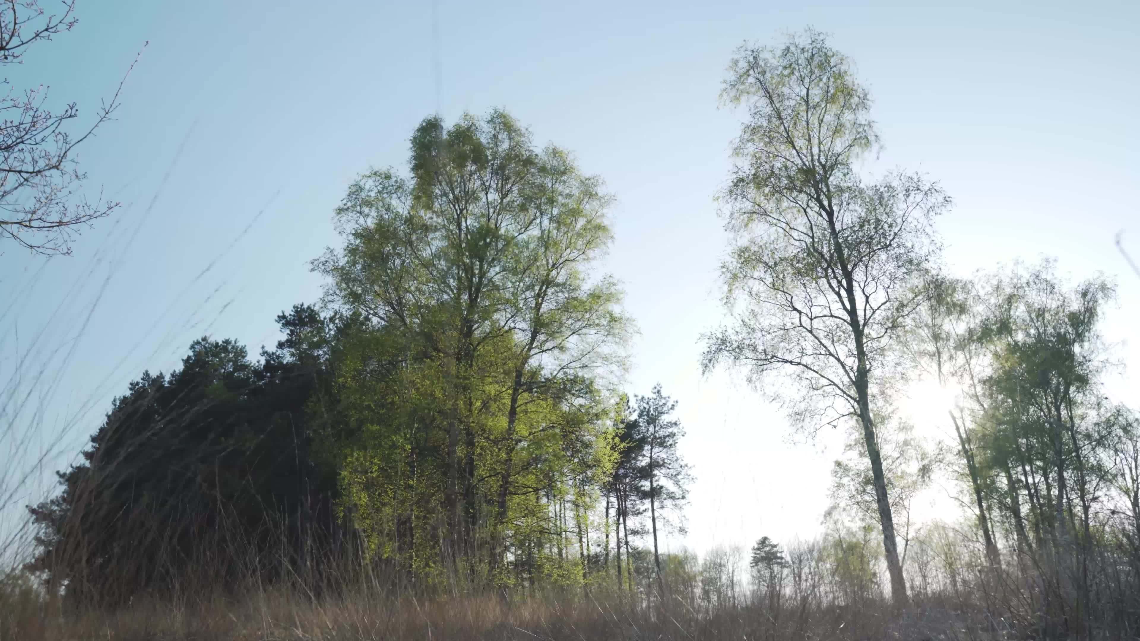 Open Field Stock Video Footage for Free Download