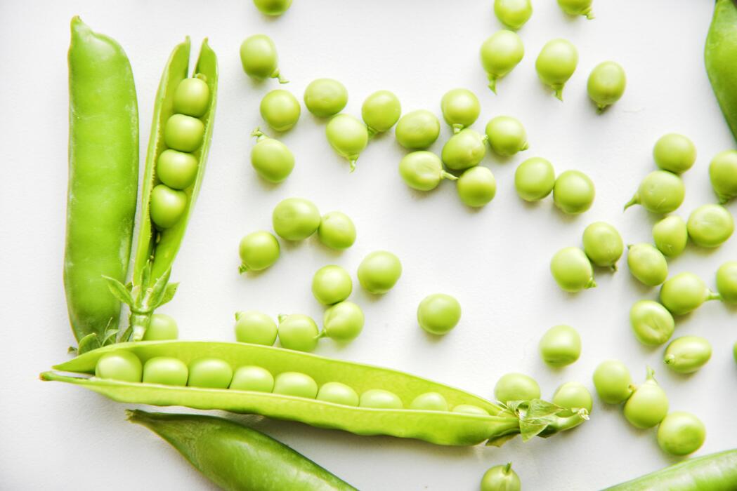 Pea Pod Stock Photos, Images and Backgrounds for Free Download