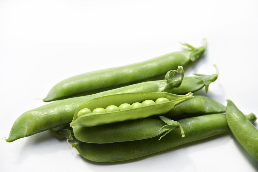 Pea Pod Stock Photos, Images and Backgrounds for Free Download