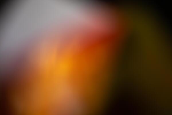 Lens Flare Overlay Stock Photos, Images and Backgrounds for Free Download