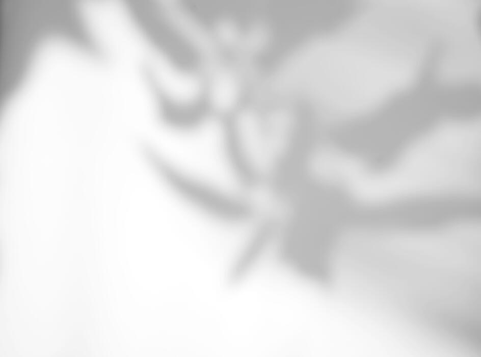 Website Background White Stock Photos, Images and Backgrounds for Free ...