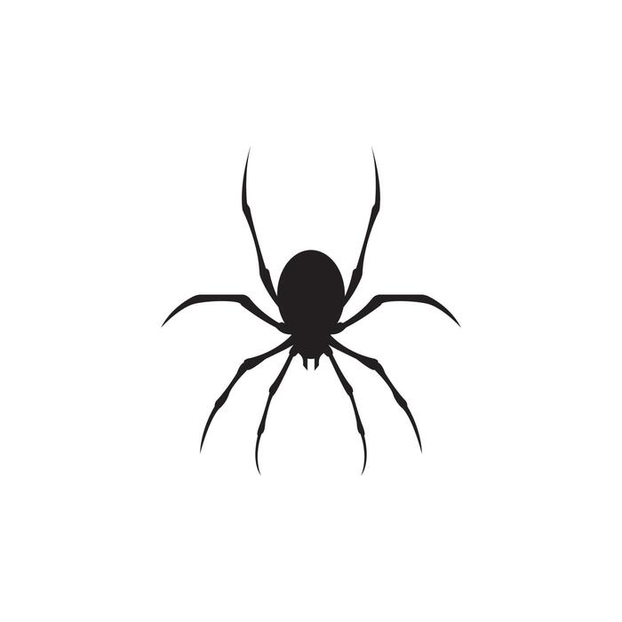 Spider Vector Art, Icons, and Graphics for Free Download