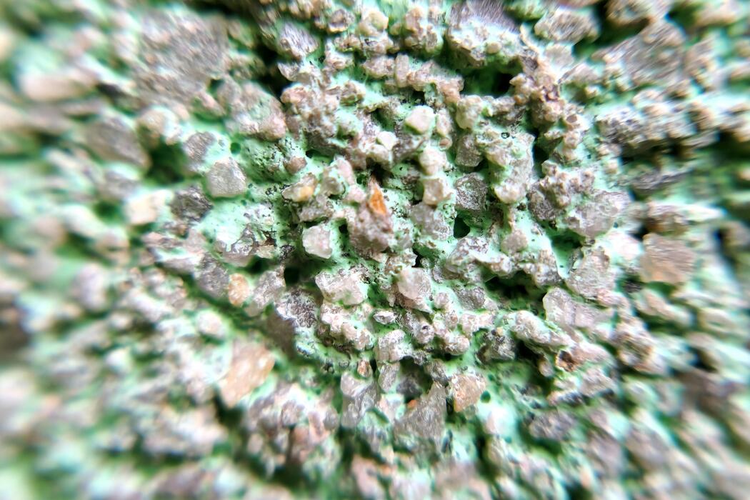 Macro Texture Stock Photos, Images and Backgrounds for Free Download