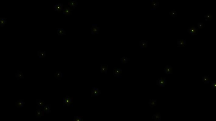 Firefly Effect Stock Video Footage For Free Download