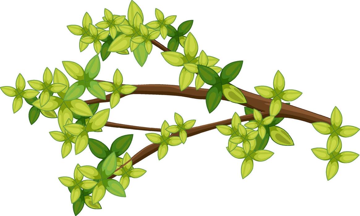 Maple Tree Branch Vector Art, Icons, and Graphics for Free Download