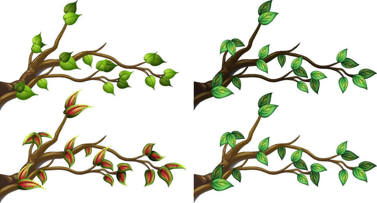 Tree Branch Pattern Vector Art, Icons, and Graphics for Free Download