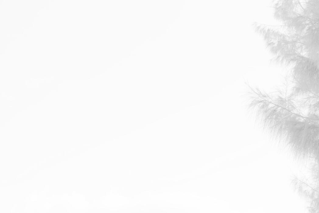 Website Background White Stock Photos, Images and Backgrounds for Free ...