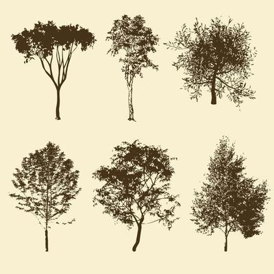 Tree Vector Art, Icons, and Graphics for Free Download