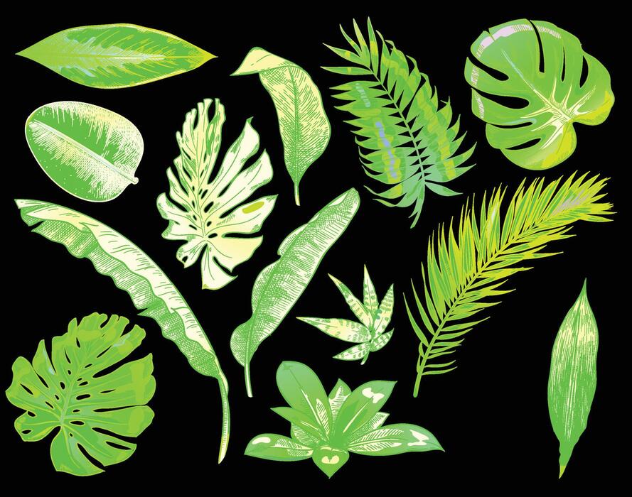 Tree Leaf Vector Art, Icons, and Graphics for Free Download