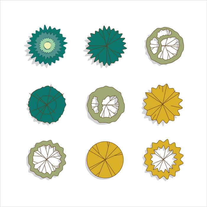 Tree Plan Vector Art, Icons, and Graphics for Free Download