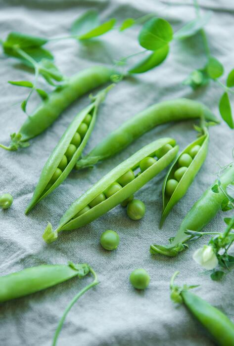 Pea Pod Stock Photos, Images and Backgrounds for Free Download
