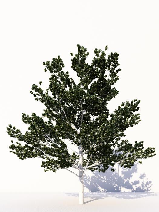 Tree Render Stock Photos, Images and Backgrounds for Free Download
