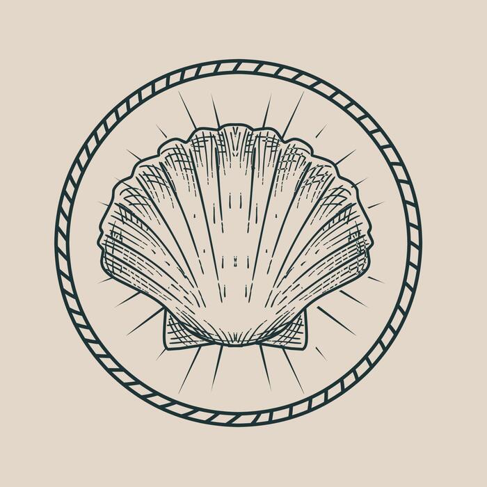 Shell Vector Art, Icons, and Graphics for Free Download