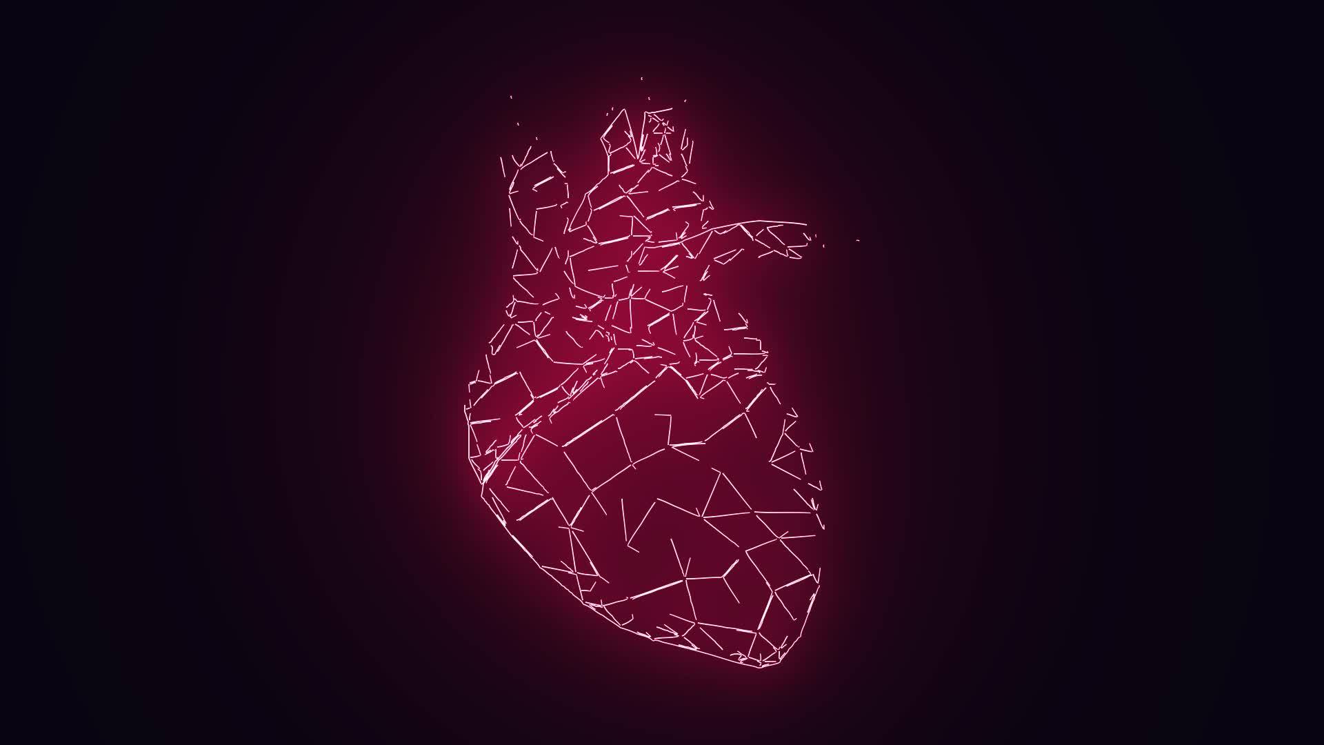 Human Heart Beating Animation 10847145 Stock Video At Vecteezy