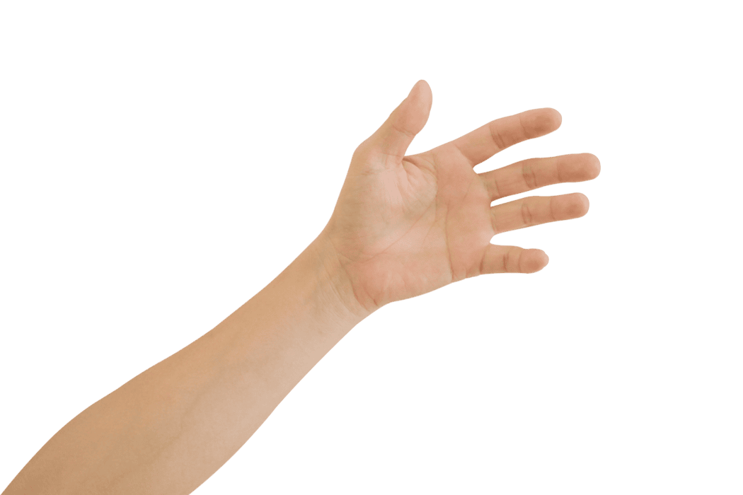 Hand Holding Something PNGs for Free Download