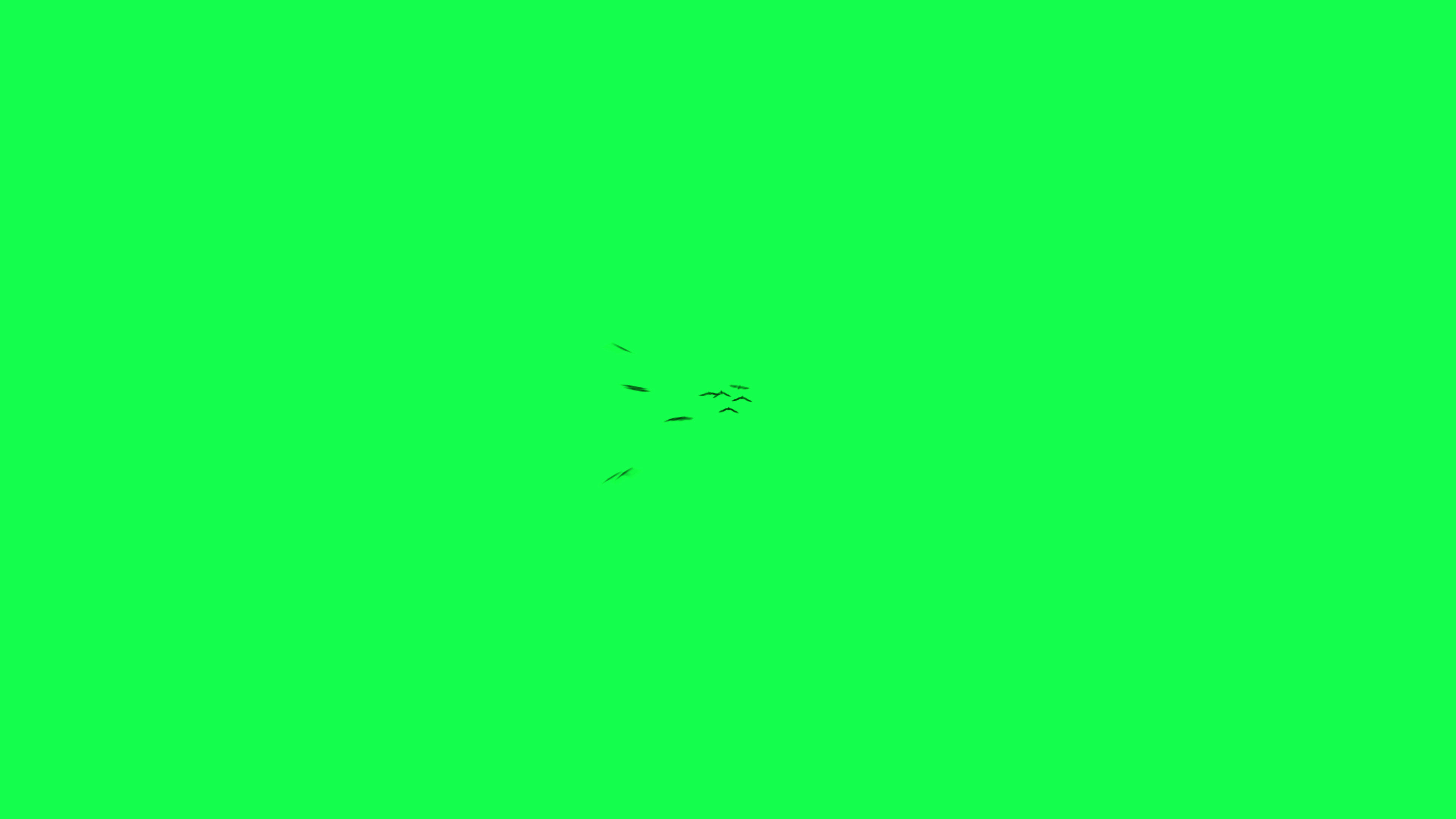halloween bat flying loop motion graphics video transparent background ... halloween bat flying loop motion graphics video transparent background ...