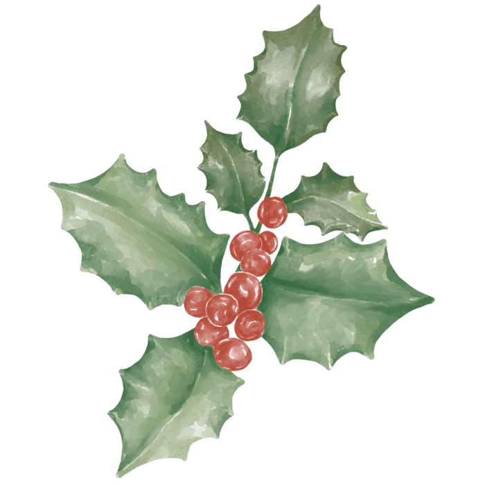 Christmas Elements PNGs for Free Download