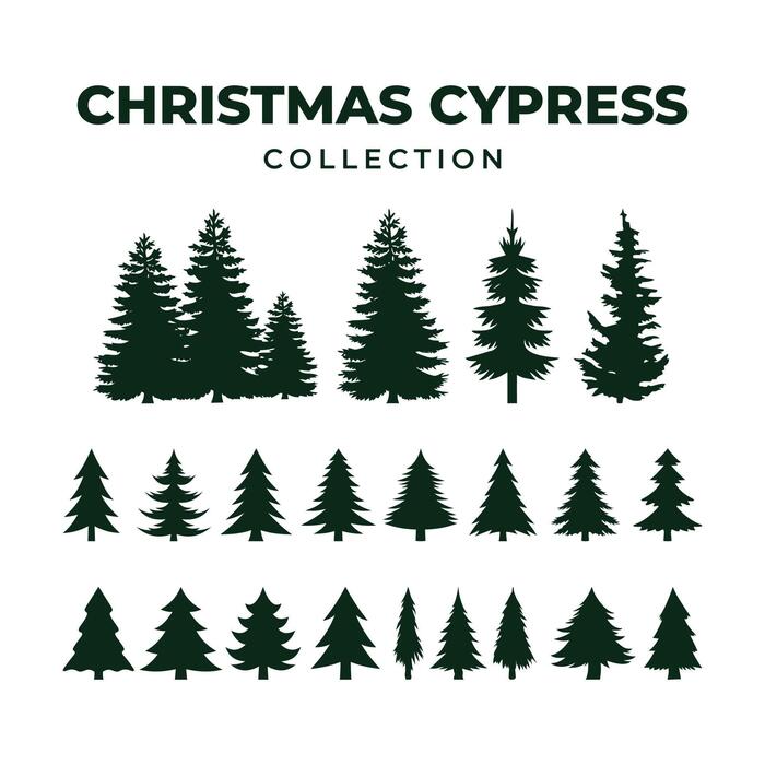 Cypress Tree Vector Art, Icons, and Graphics for Free Download