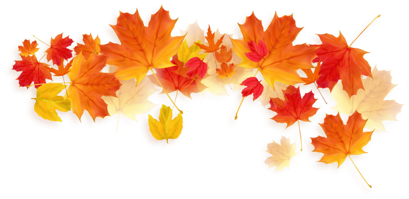 Autumn Leaves Falling PNGs for Free Download