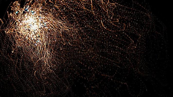 Golden Line Stock Photos, Images and Backgrounds for Free Download
